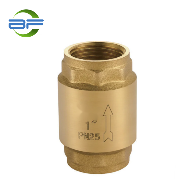 Wholesale CV001 BRASS HEAVY SPRING CHECK VALVE BRASS DISC Manufacturer ...